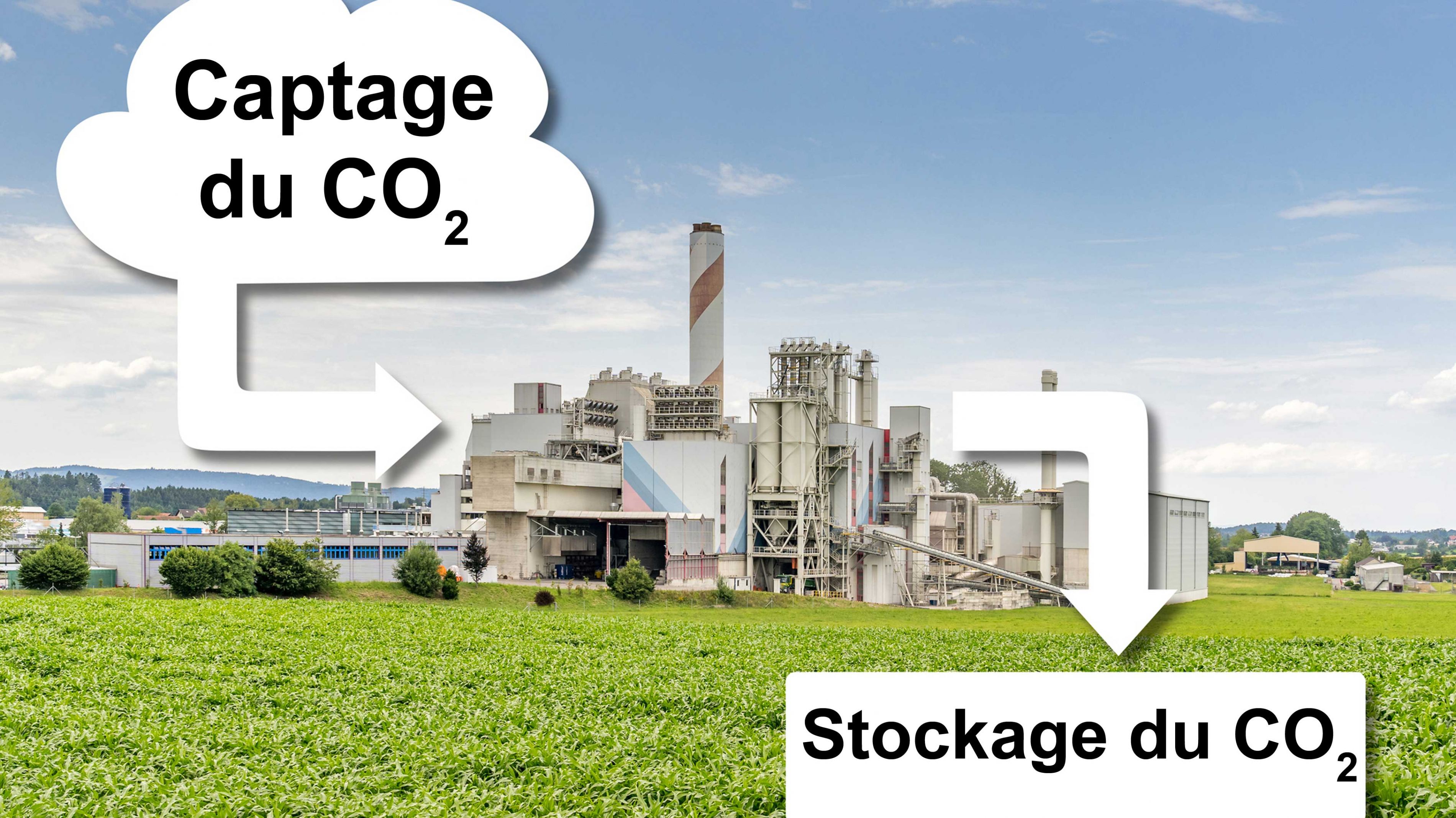 GOZECO - Actualités et informations - La captation du carbone: vraie ...